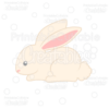 Cute Bunny Cuttable SVG File & Clipart Set for Silhouette Cameo, Cricut ...