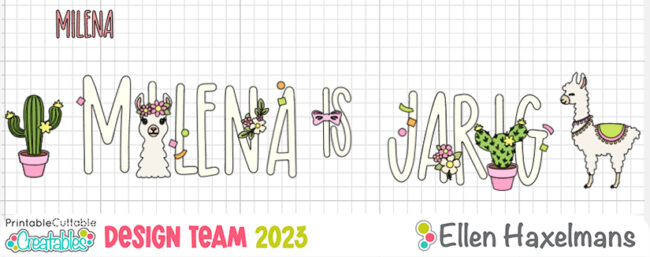 Pretty Llama HTV Birthday Banner