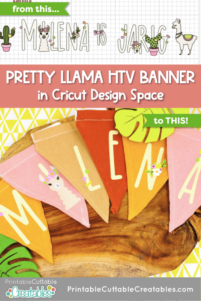Pretty Llama HTV Birthday Banner
