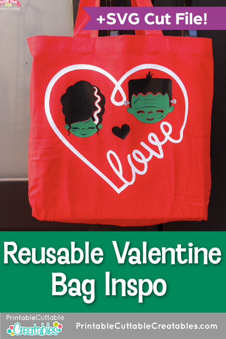Reusable Valentine Bag Inspo